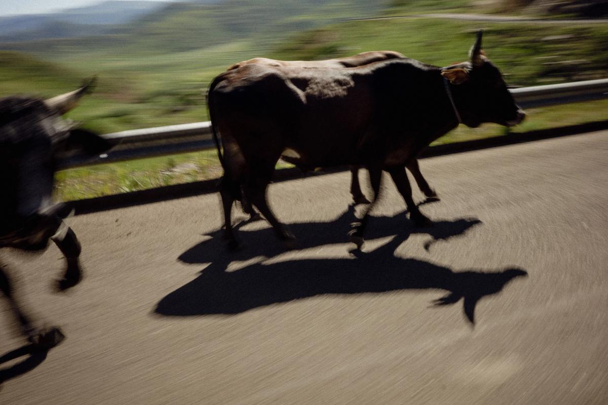 Kea Leboha, Lesotho | Pas Normal Studios