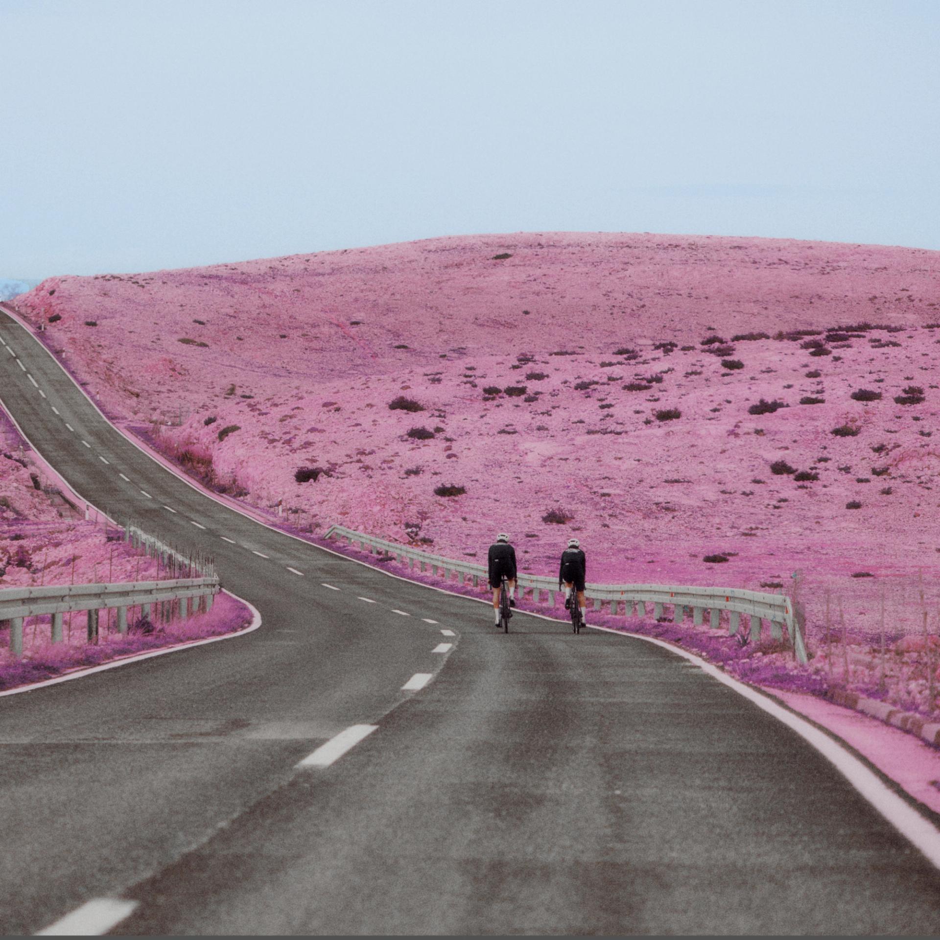 Pas Normal Studios x Fizik - Mechanism Road Shoe | Pas Normal Studios