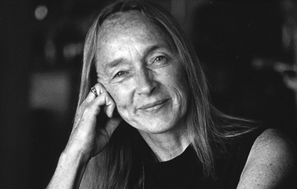 Famous Australian Architects | DiJones Real Estate