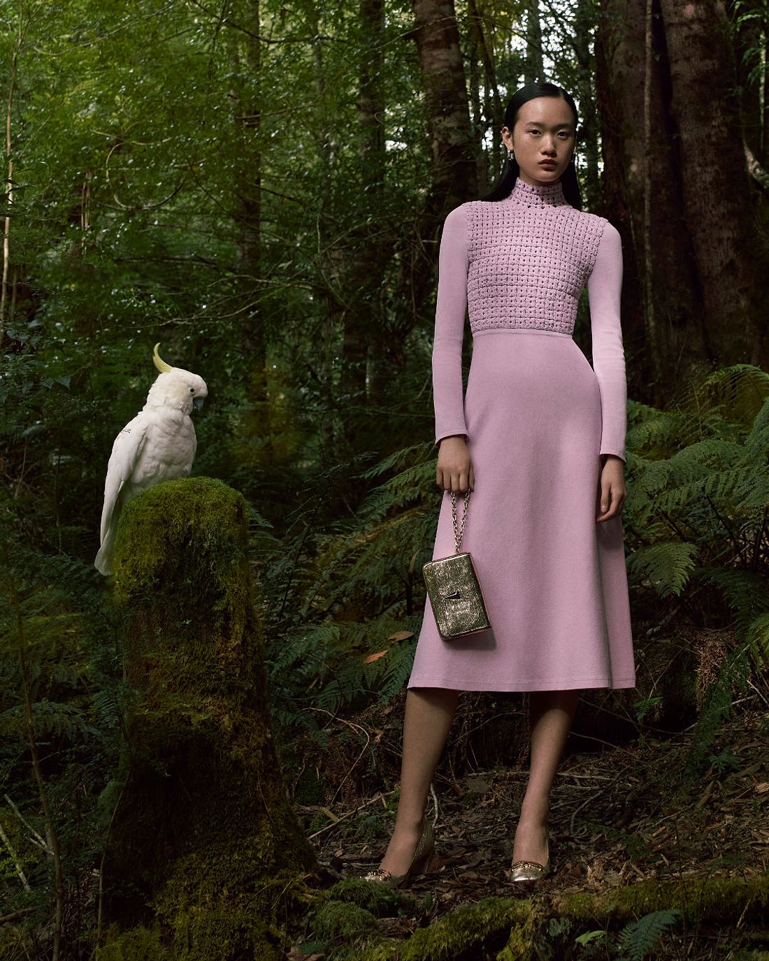 US Home W24D2A - Scanlan Theodore