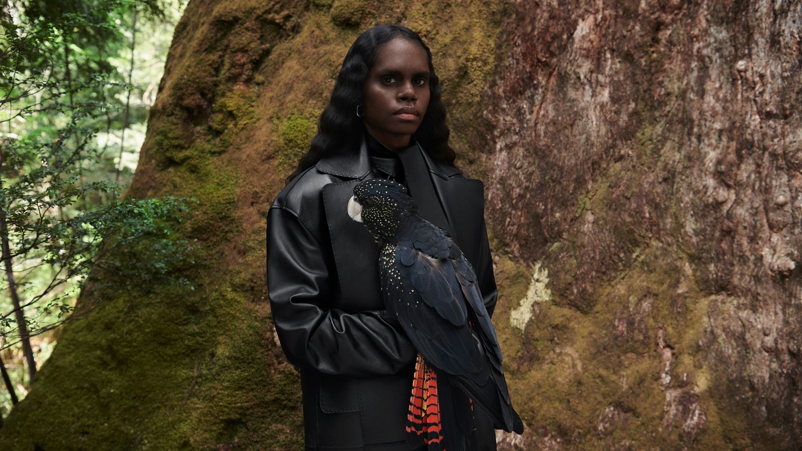 US Home W24D2B 1 - Scanlan Theodore