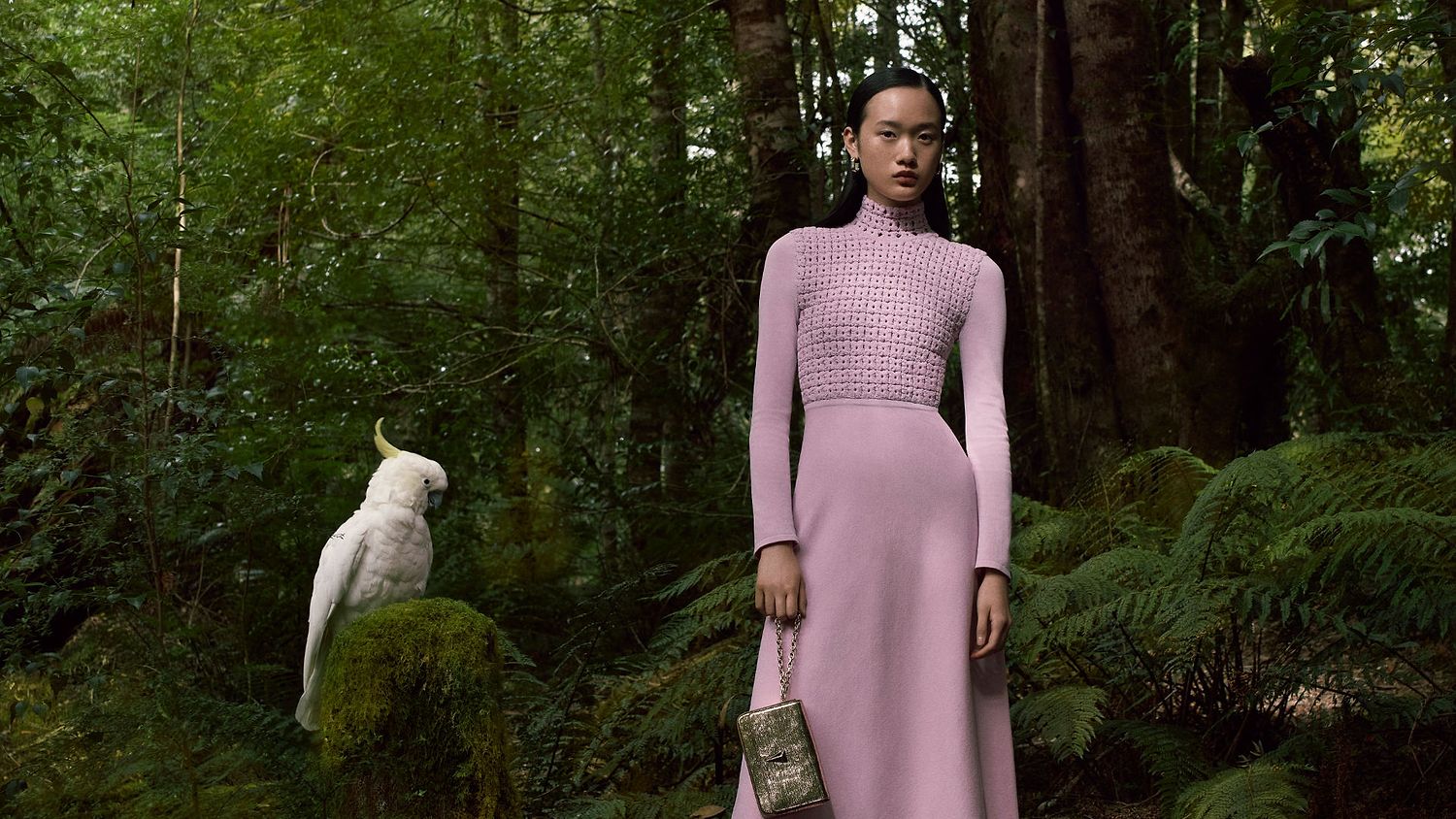 US Home W24D2A - Scanlan Theodore