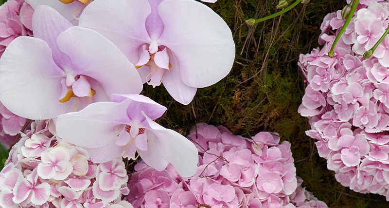 Size Guide - Scanlan Theodore