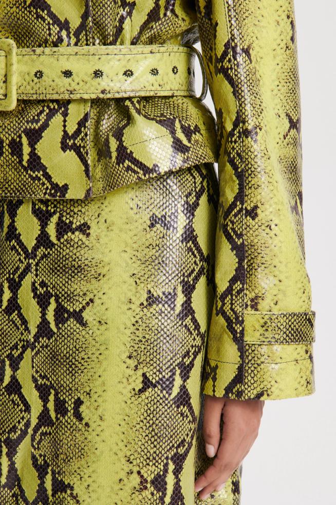 Home - Scanlan Theodore