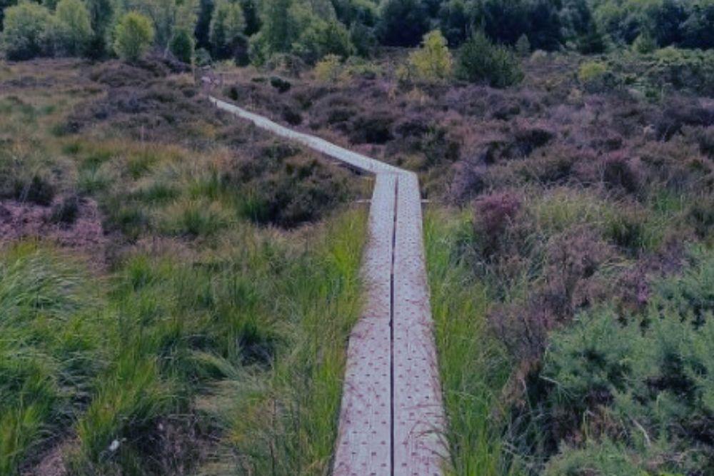 Glenveagh Homes | Rambles in Meath - The Girley Bog Eco Walk