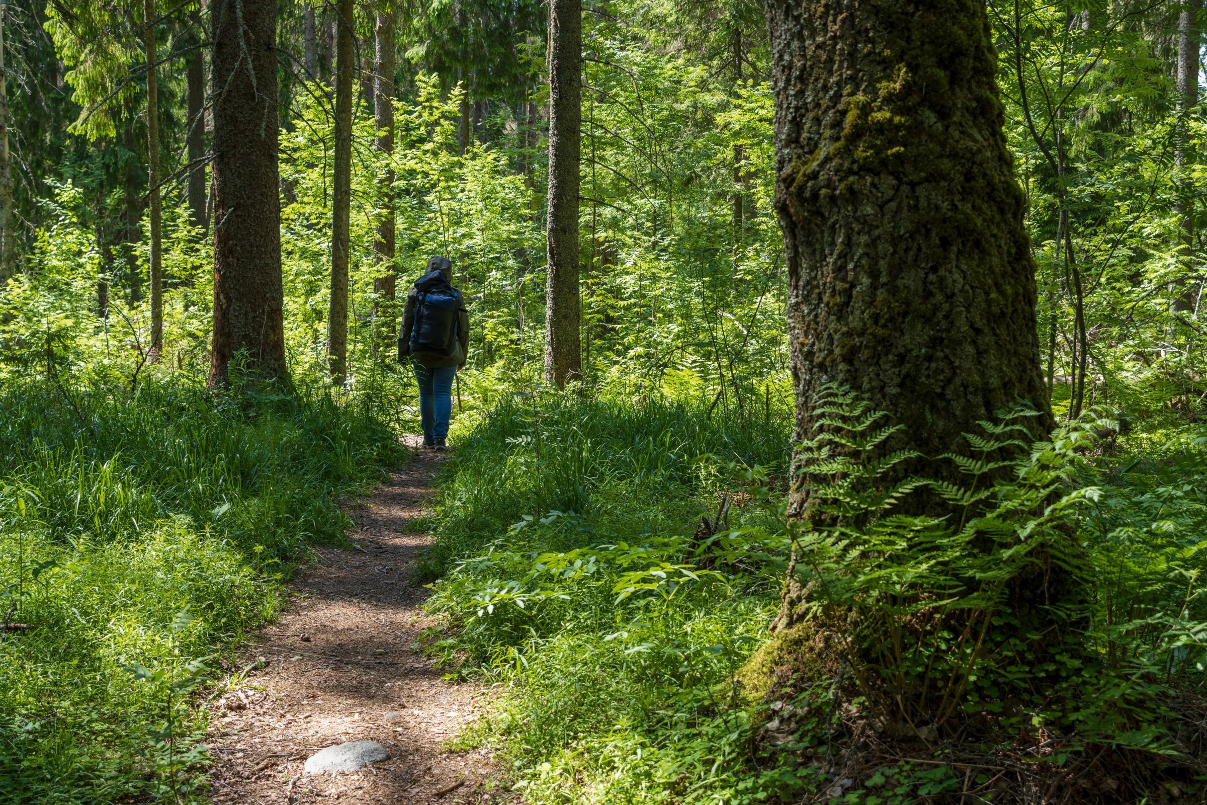 Glenveagh Homes | Out and About in Stamullen