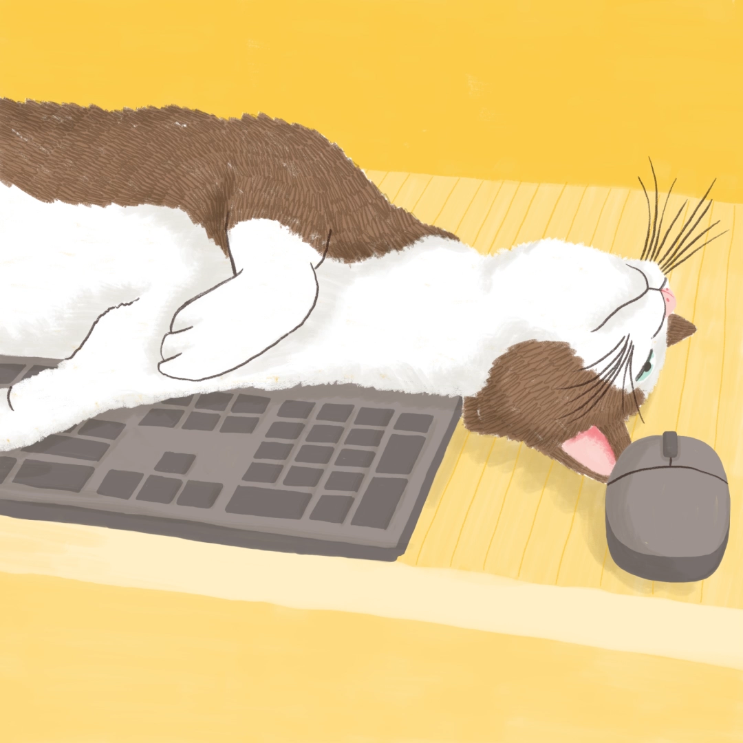 Meta Paid Social Media Creative | Traction