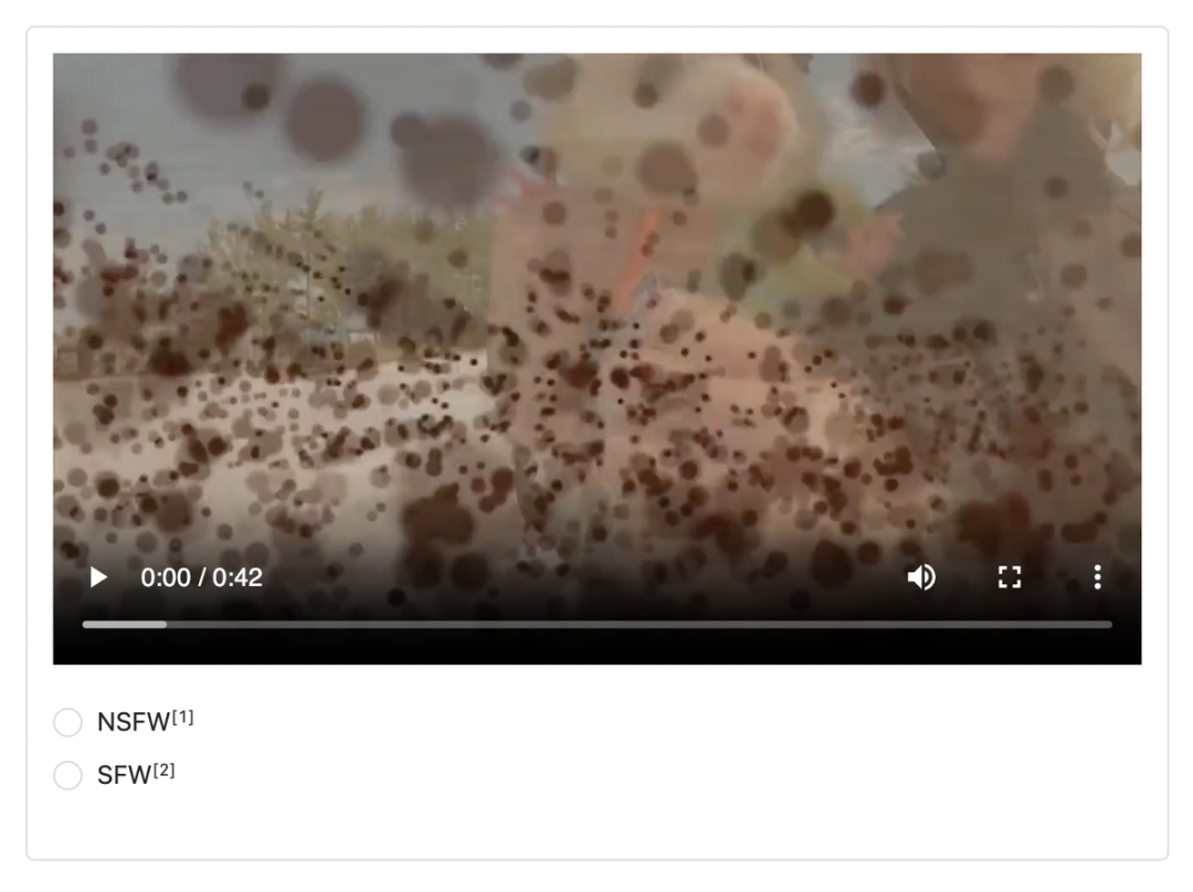 New! Video Frame Classification | HumanSignal