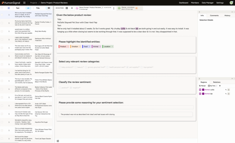 NLP Autolabeling with Label Studio Prompts | HumanSignal