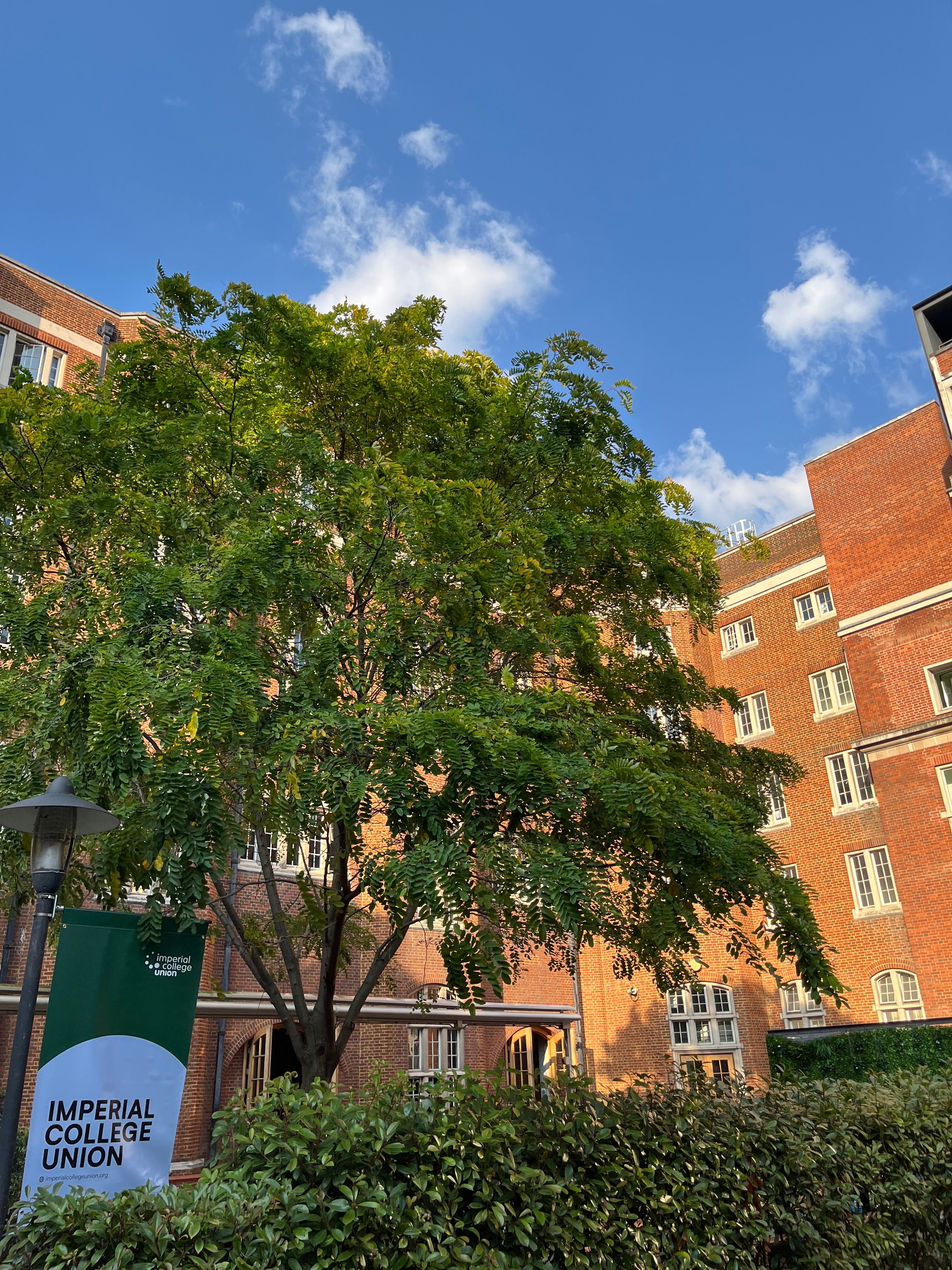 Enhancing your experience through biodiversity | Imperial College Union