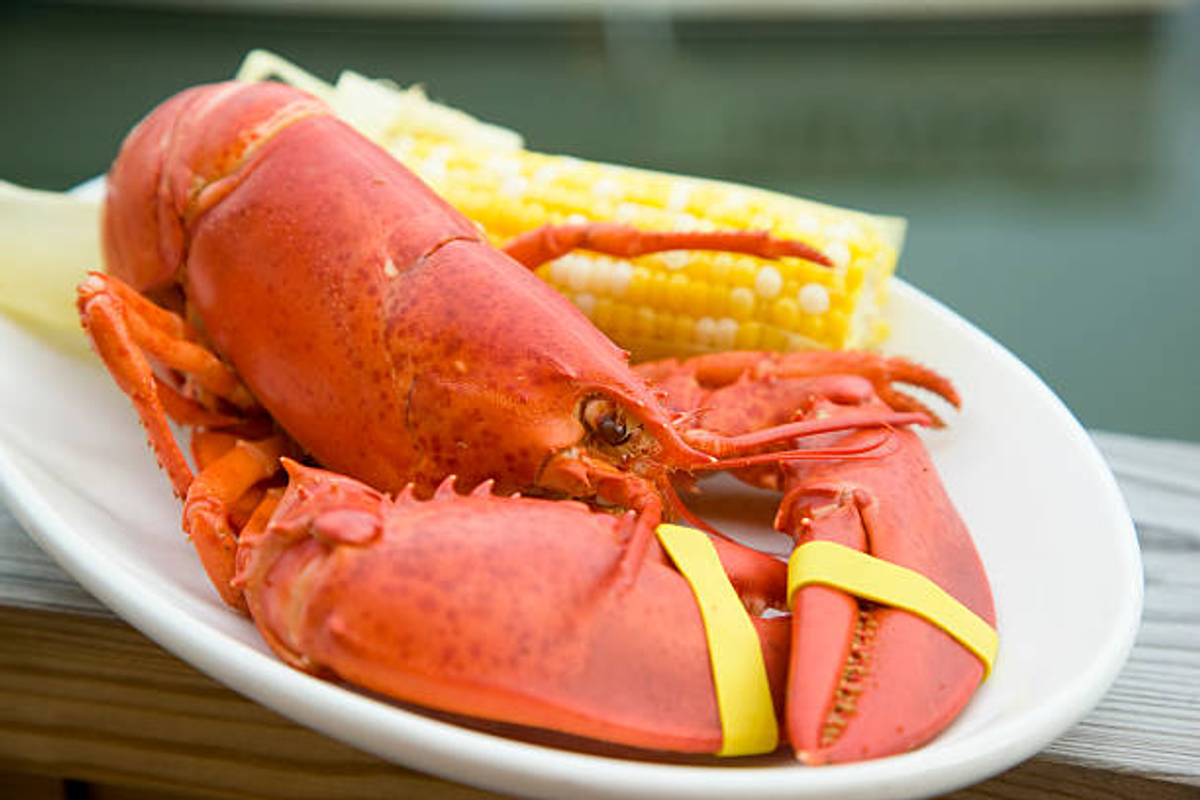 Peak Lobster Bake | Sunday River