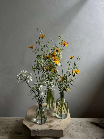 Fox Fodder Flowers | Bud Vase Trio