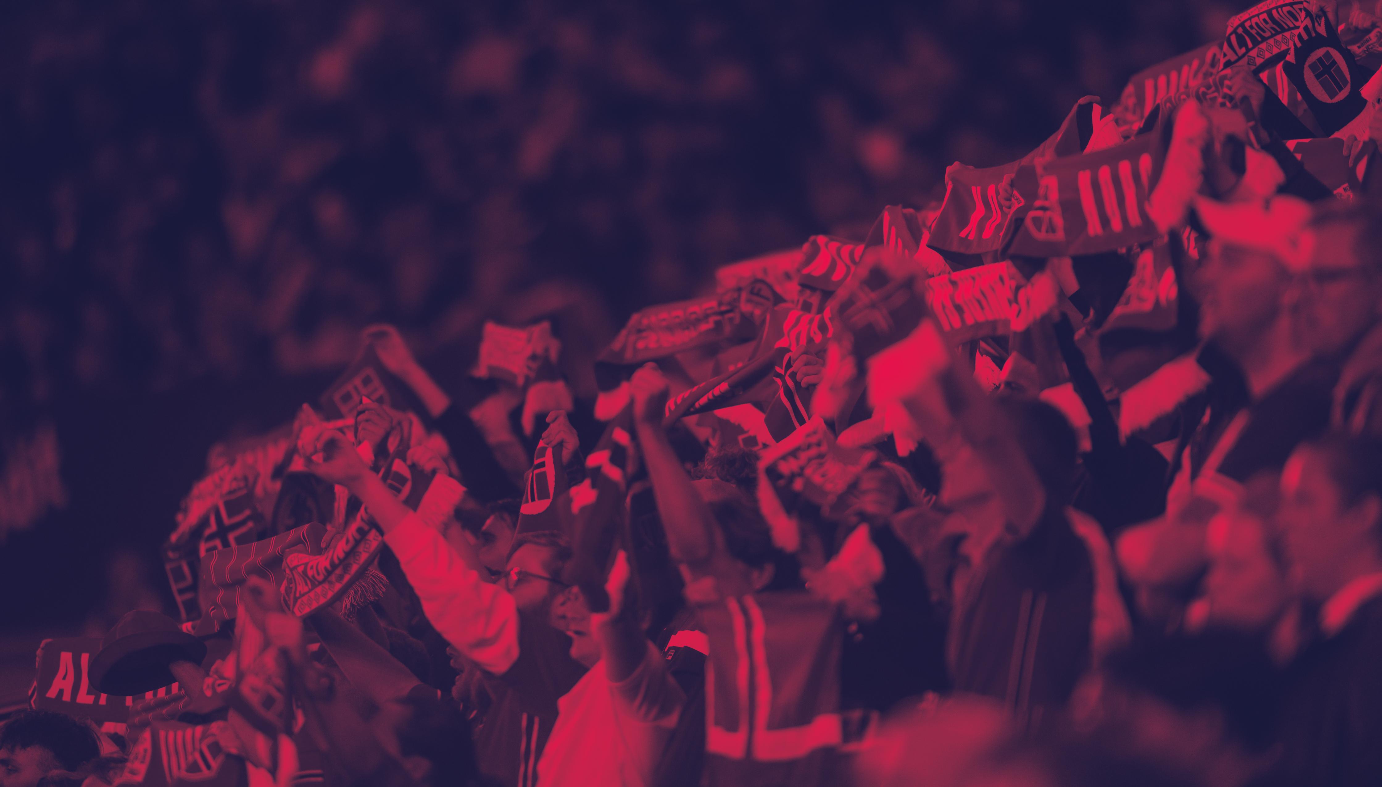 NFF Strategy 2025-30