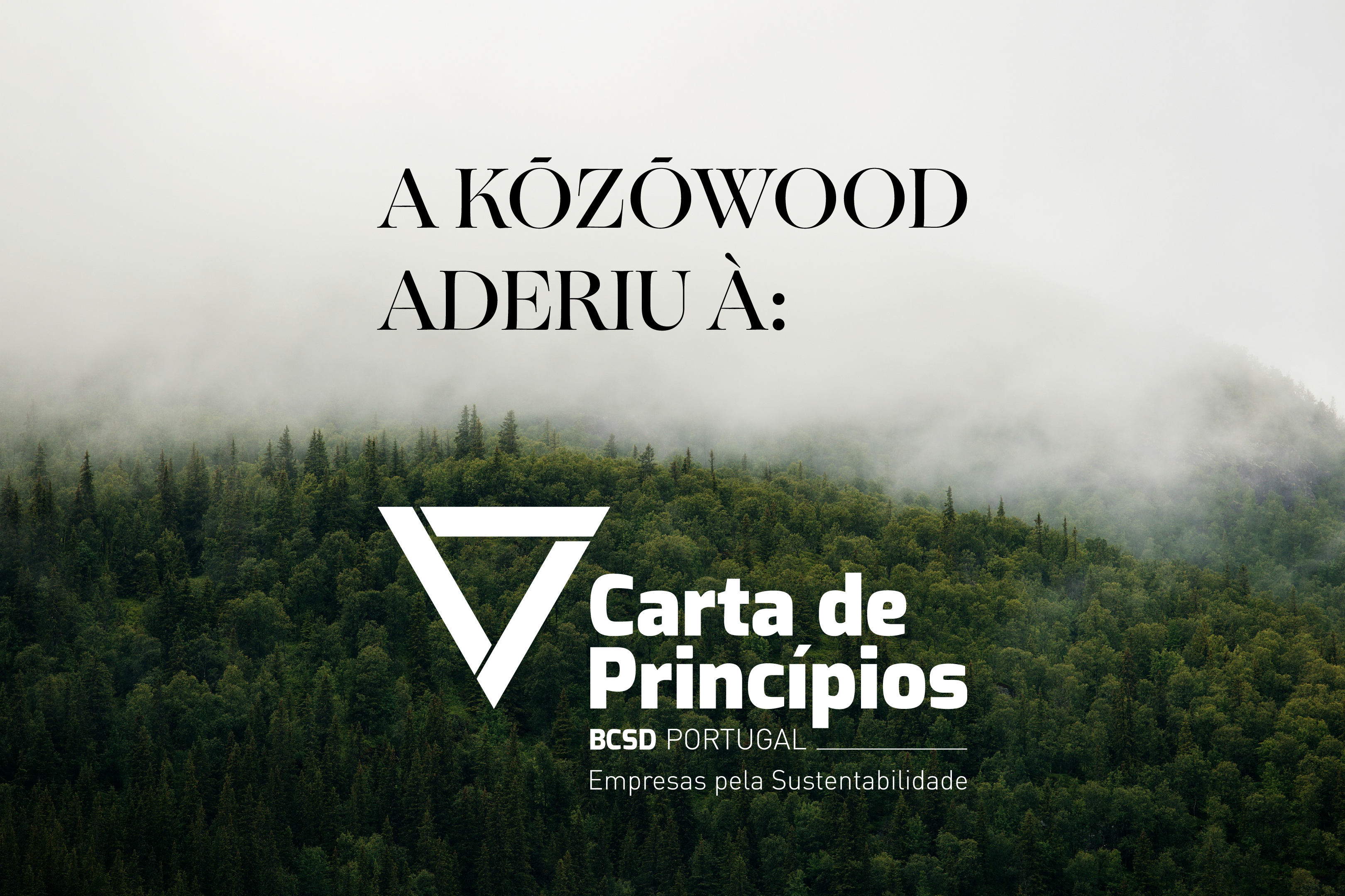 Kozowood's Commitment to Sustainability: Adherence to the BCSD Portugal ...