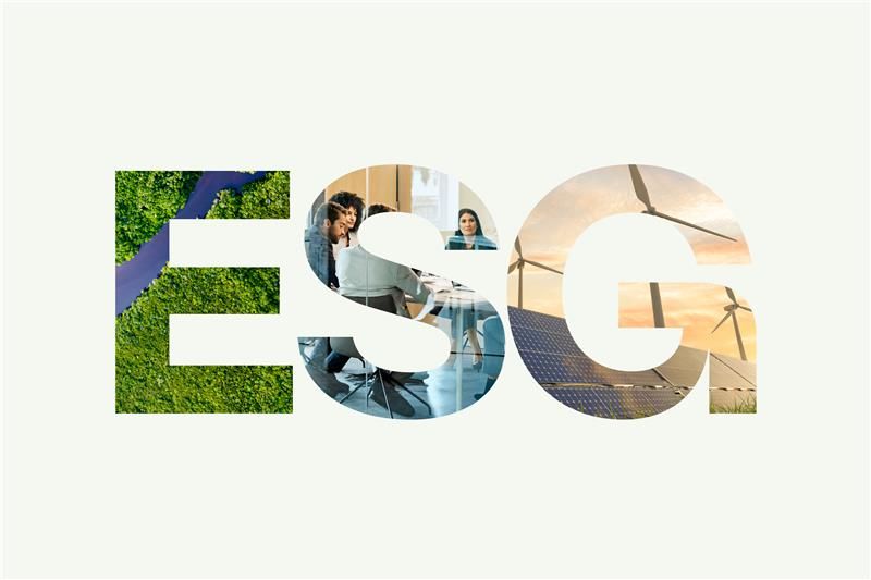 The Importance of ESG in Timber Construction | Kōzōwood — In balance ...