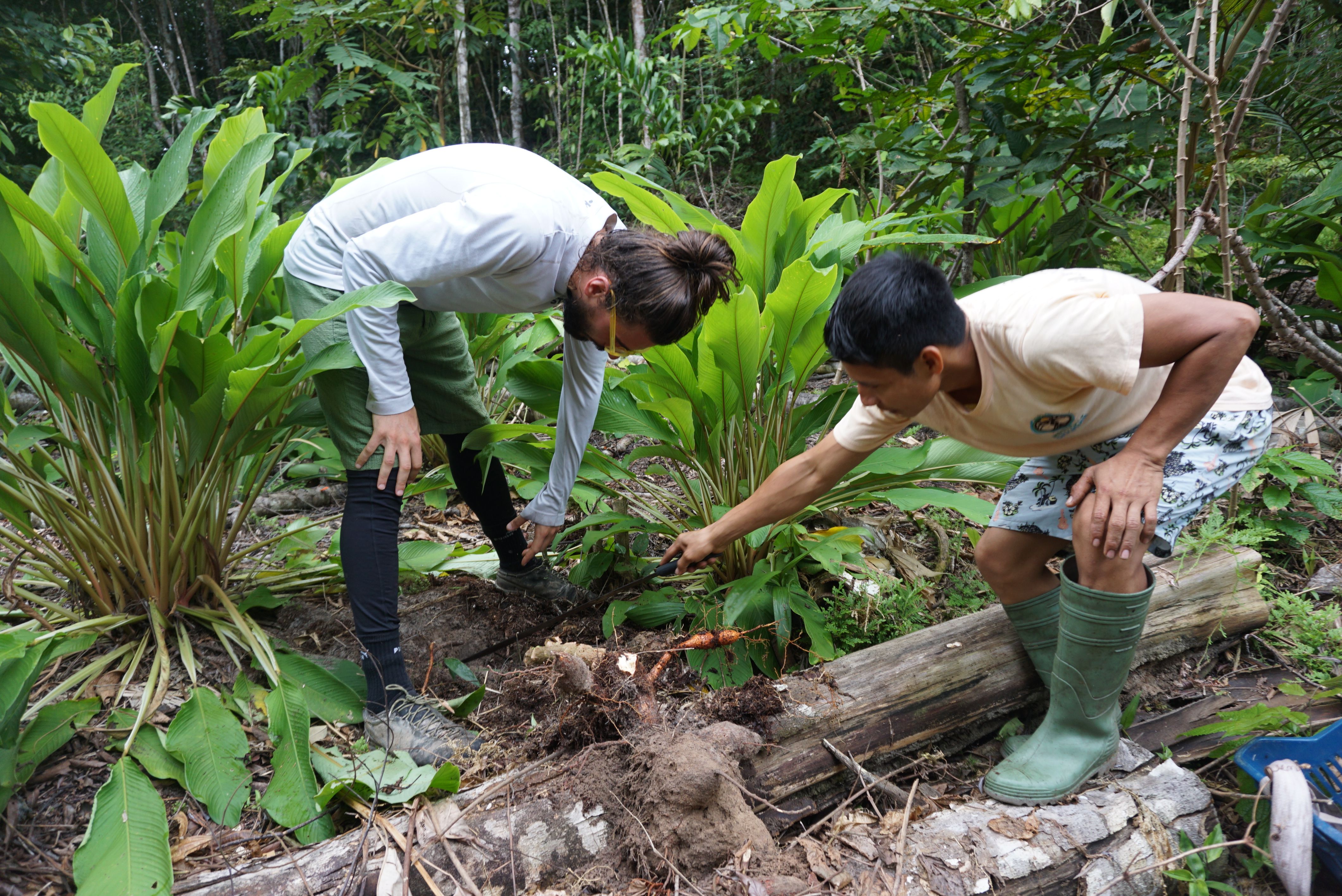 Immerse yourself in the Peruvian Amazon | Chaikuni Institute