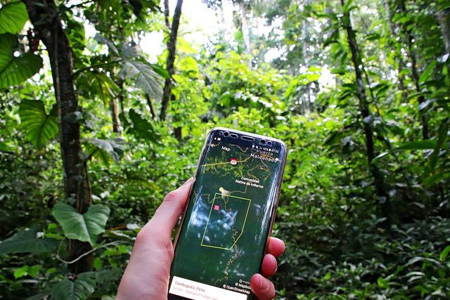 New study shows that deforestation is reduced if communities have ...