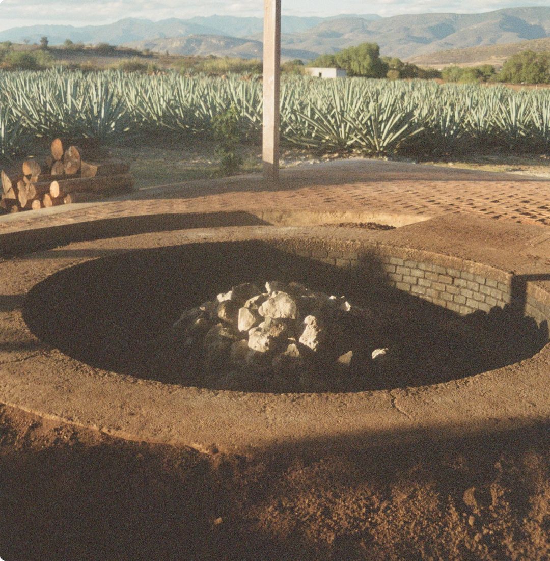 The Farm | Mezcal Rosaluna: Mezcal is Magic