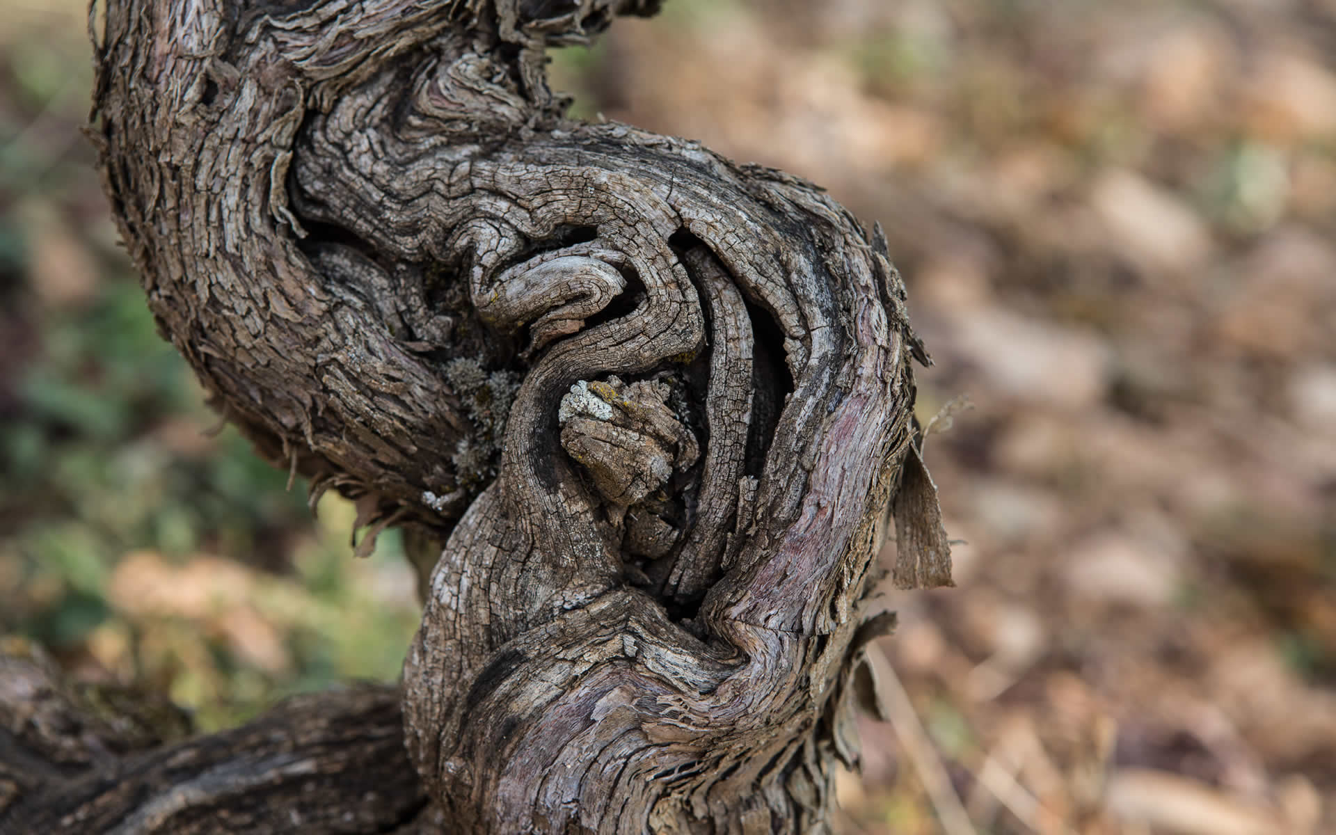 Vehrs Distributing - Why Vehrs?