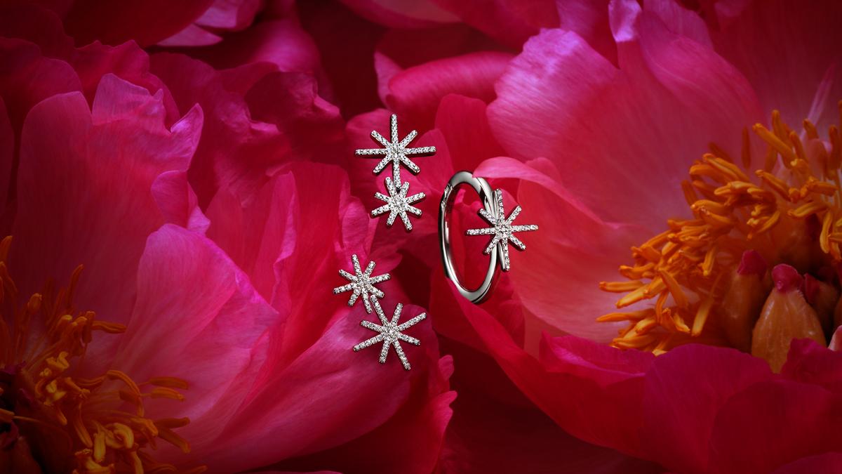 Efva Attling - Beam & Stars