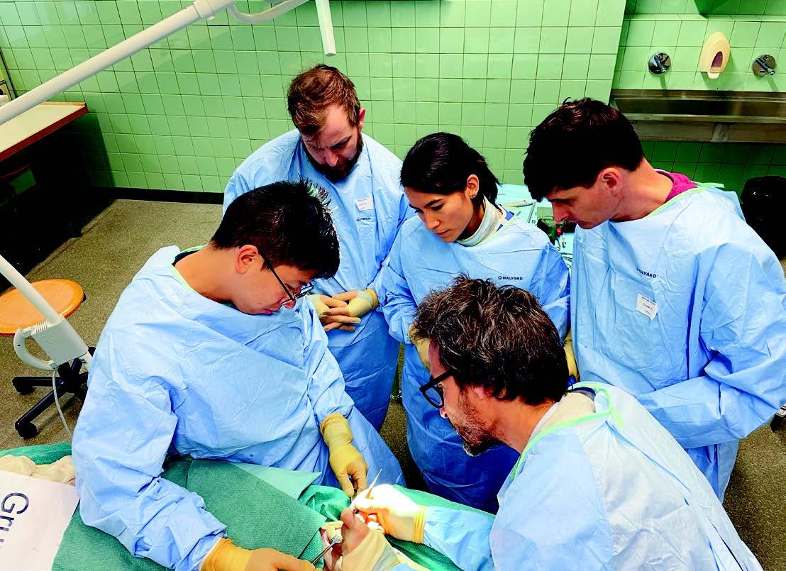 Bonebridge - EDUCATION @BONEBRIDGE: CADAVER LAB EXPERIENCE TO RETURN IN 2025