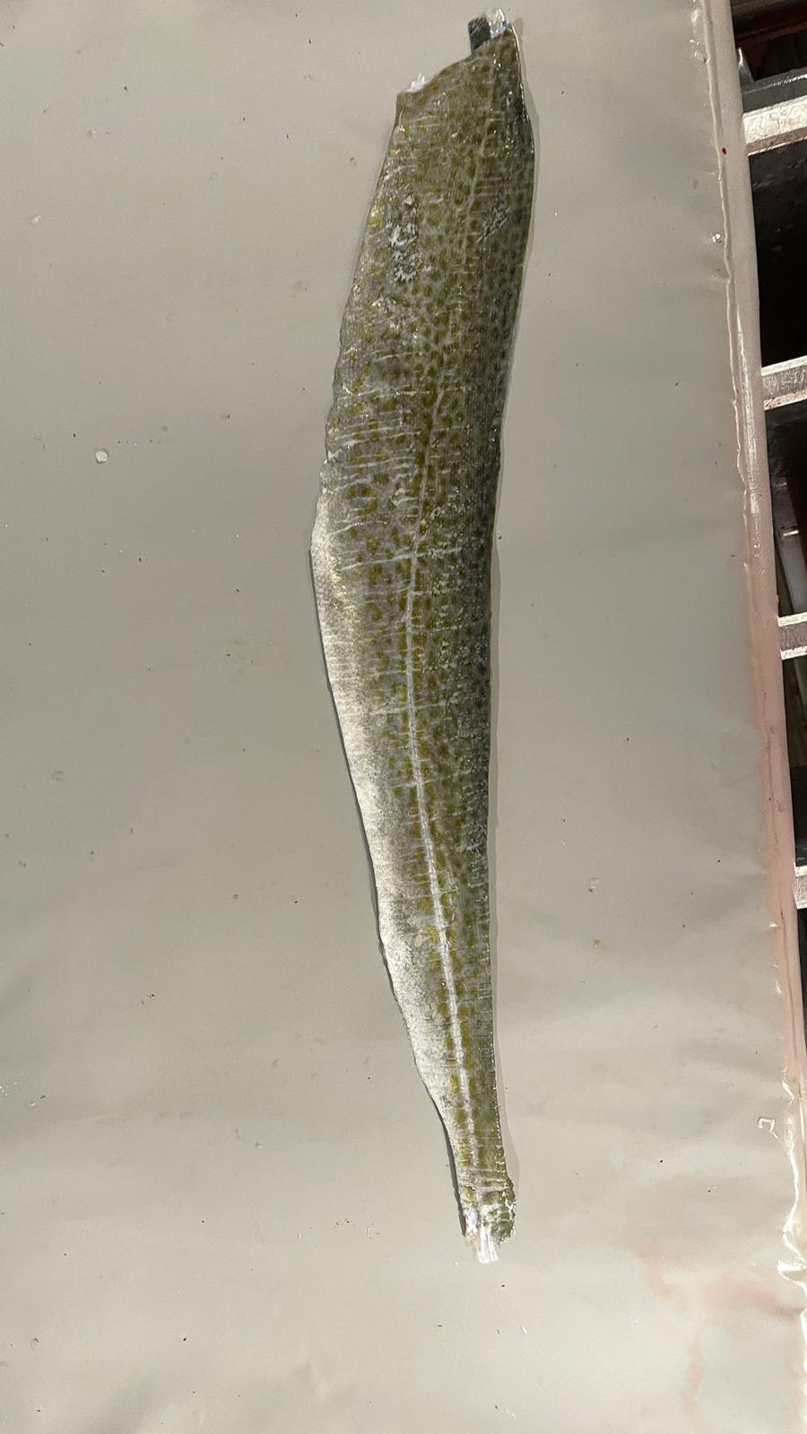 Fish skin from Cod, Saith and Haddock