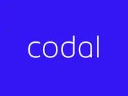 Privacy Policy | Codal