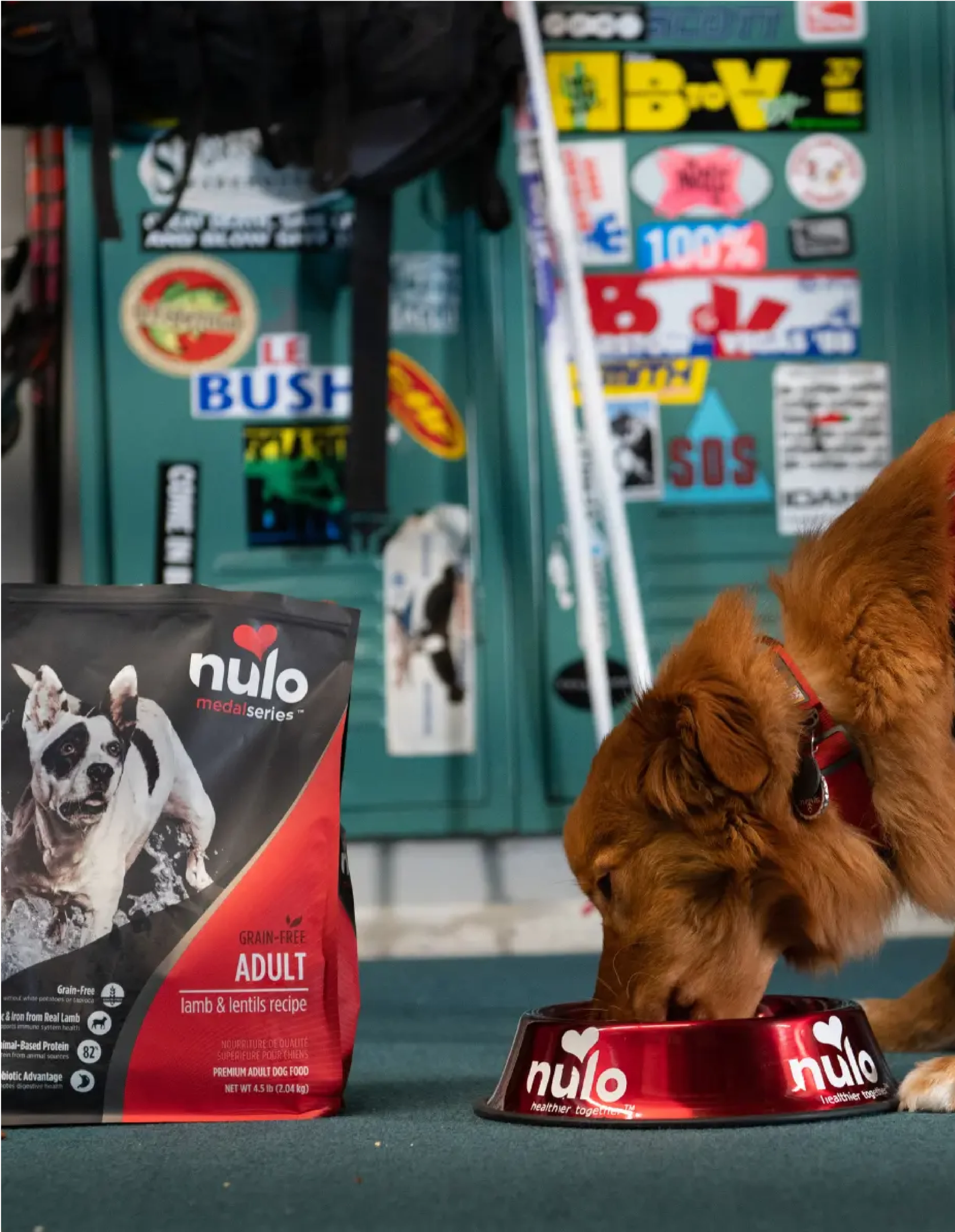 Nulo | Innovative Digital Solutions | Codal