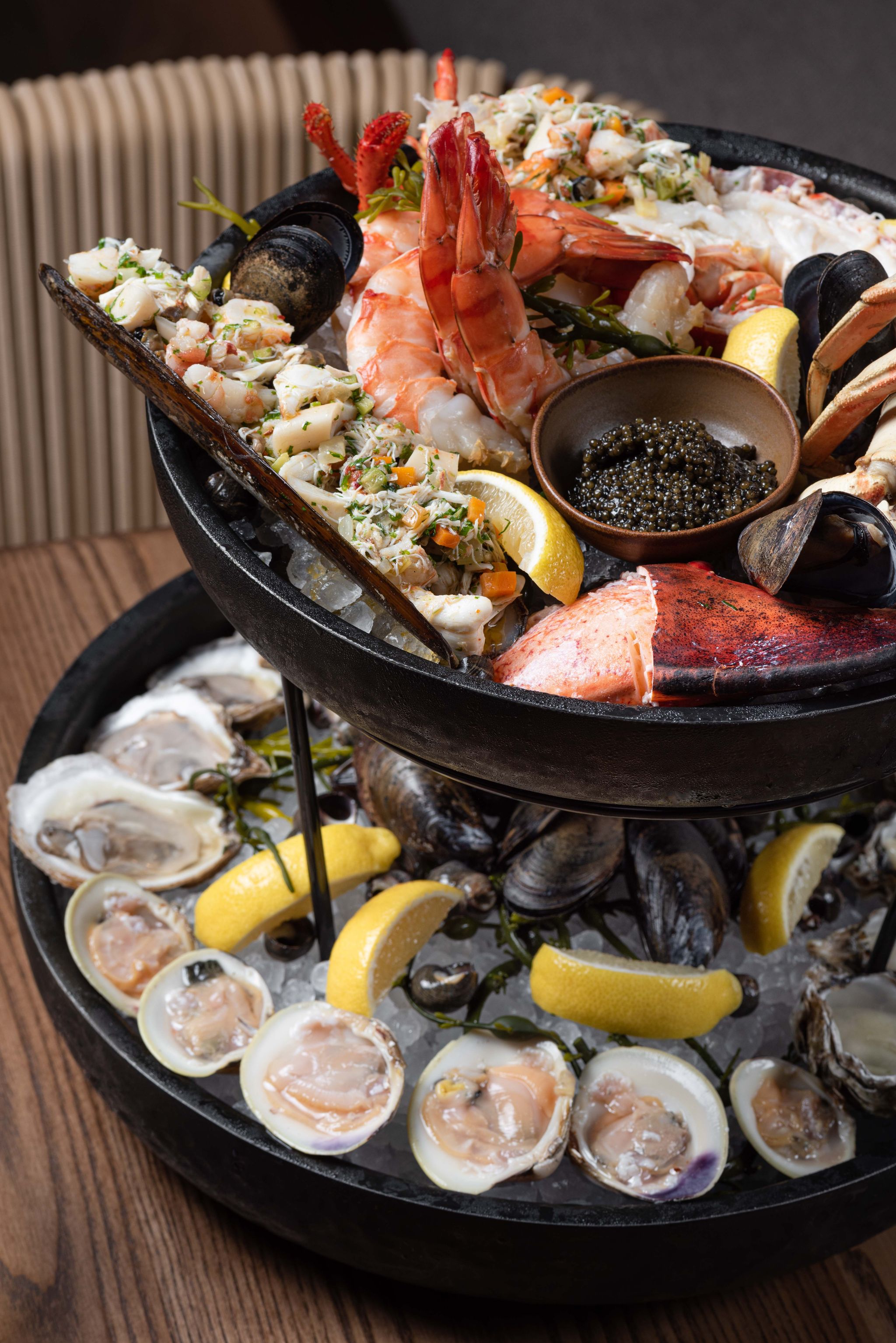 Collection | Noble 33