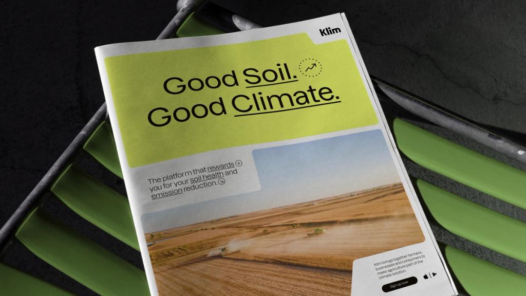 Holi | Justified Studio