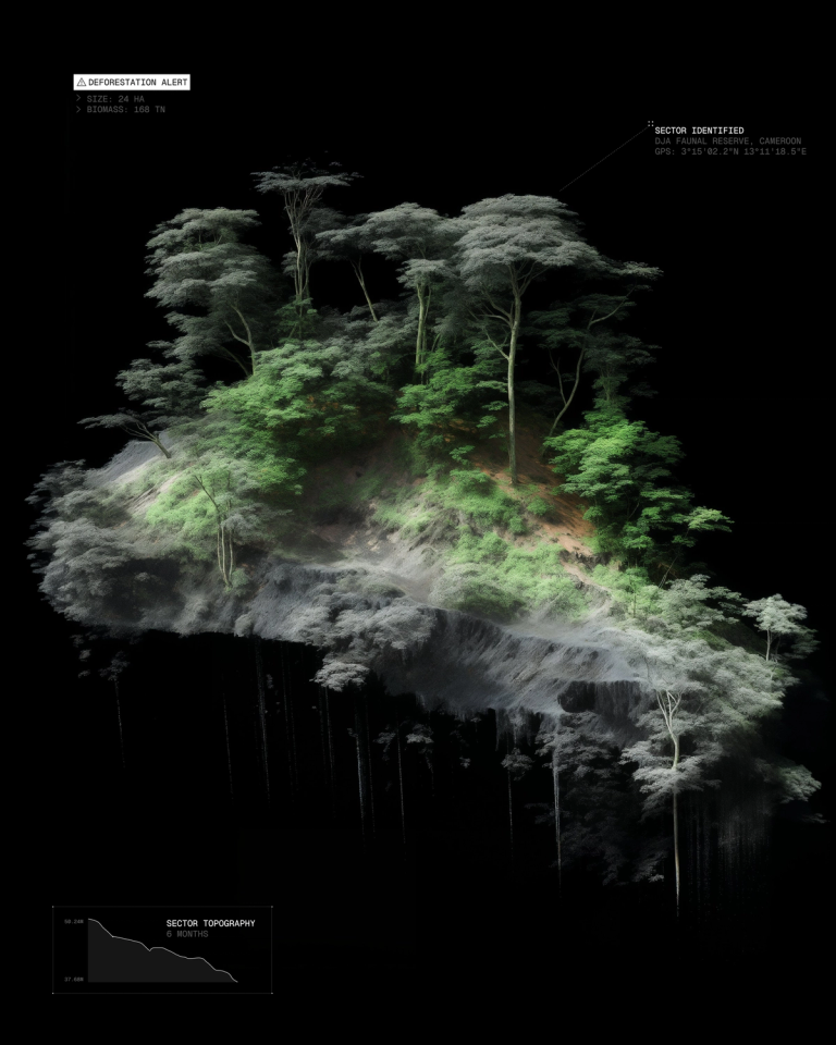 Future Forest | Justified Studio