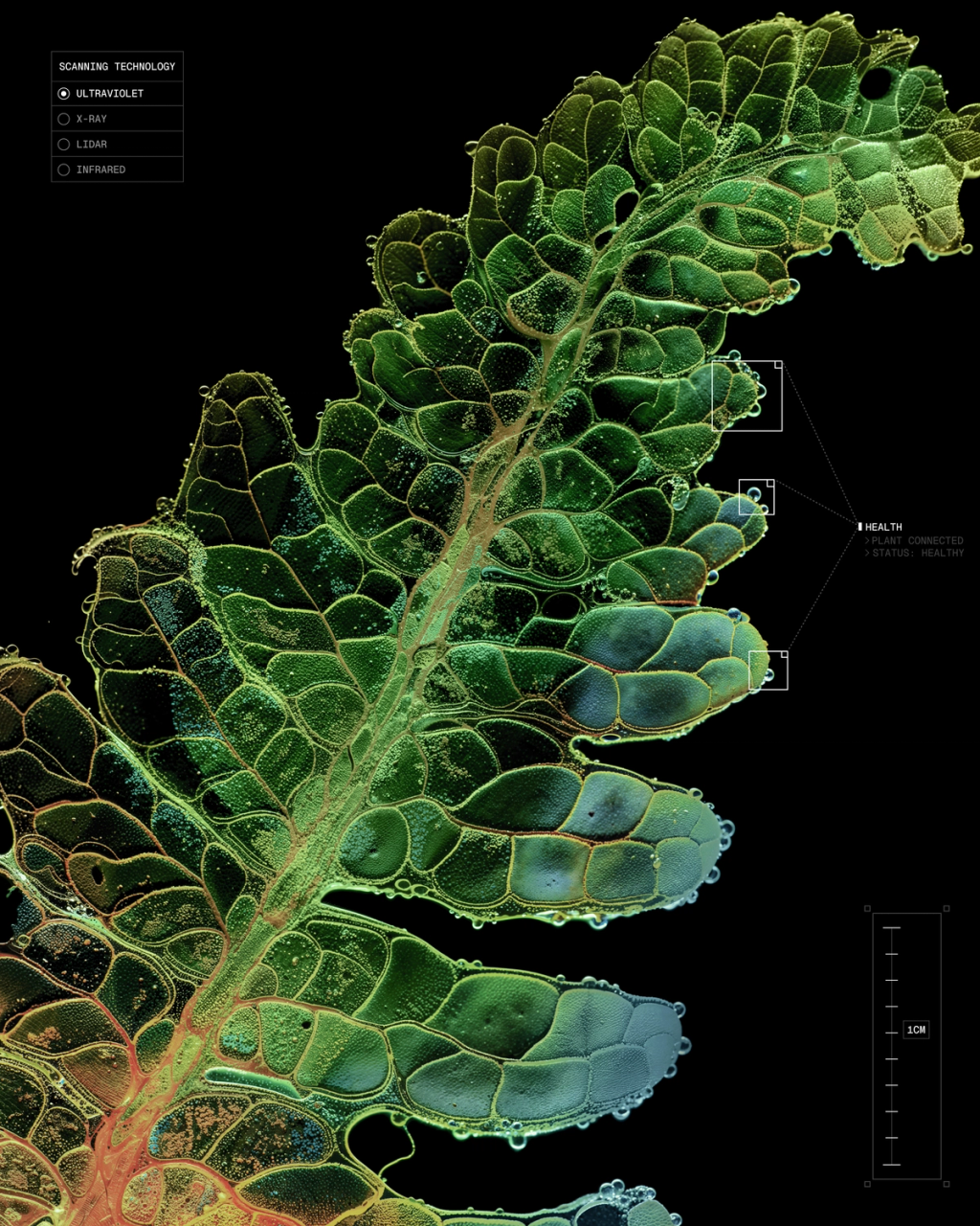 Future Forest | Justified Studio