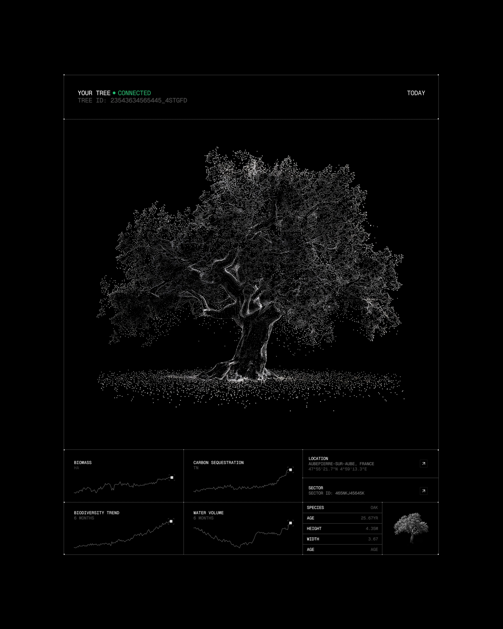 Future Forest | Justified Studio