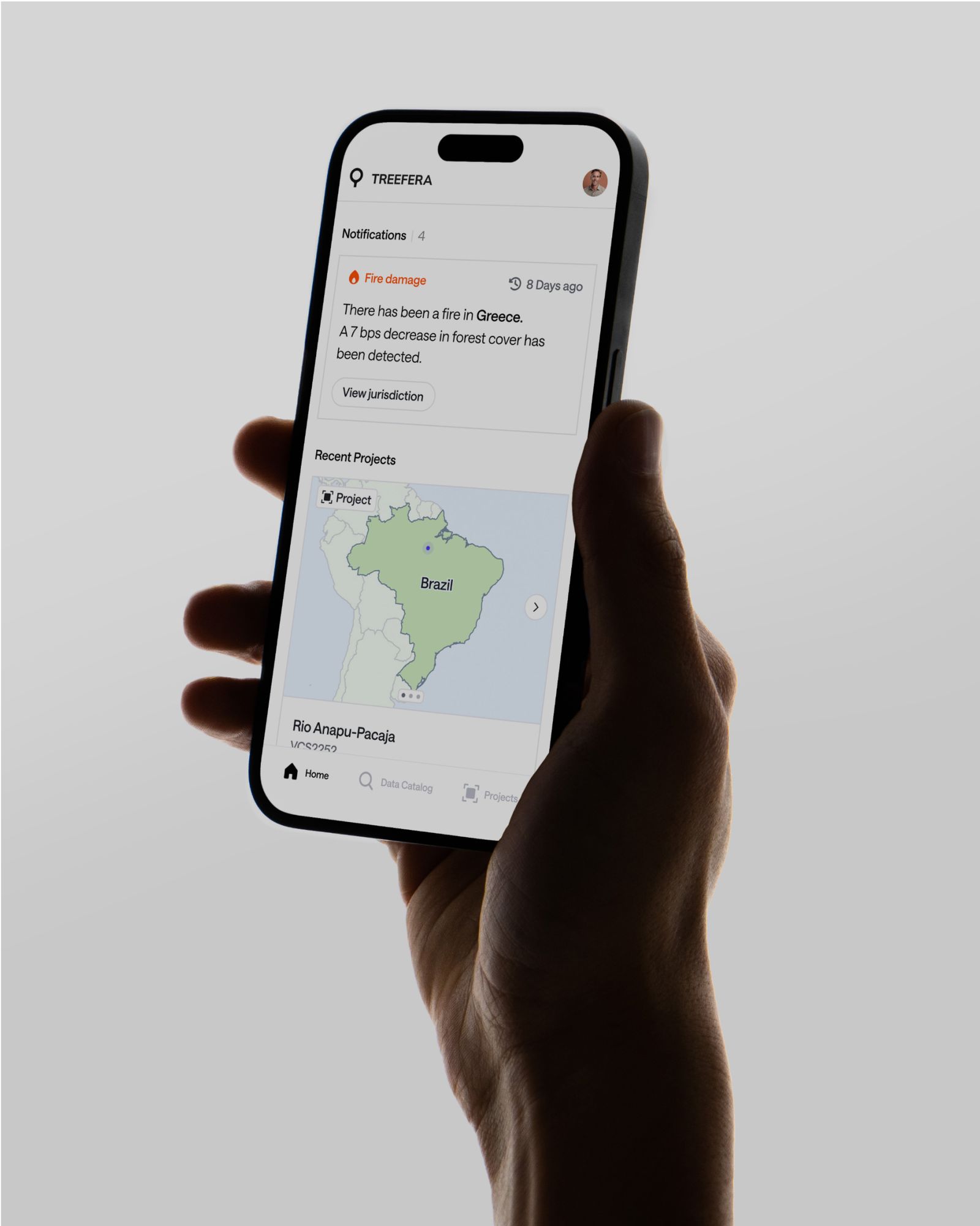 Treefera | Justified Studio