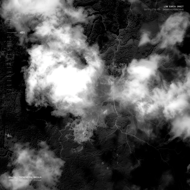 Future Forest | Justified Studio