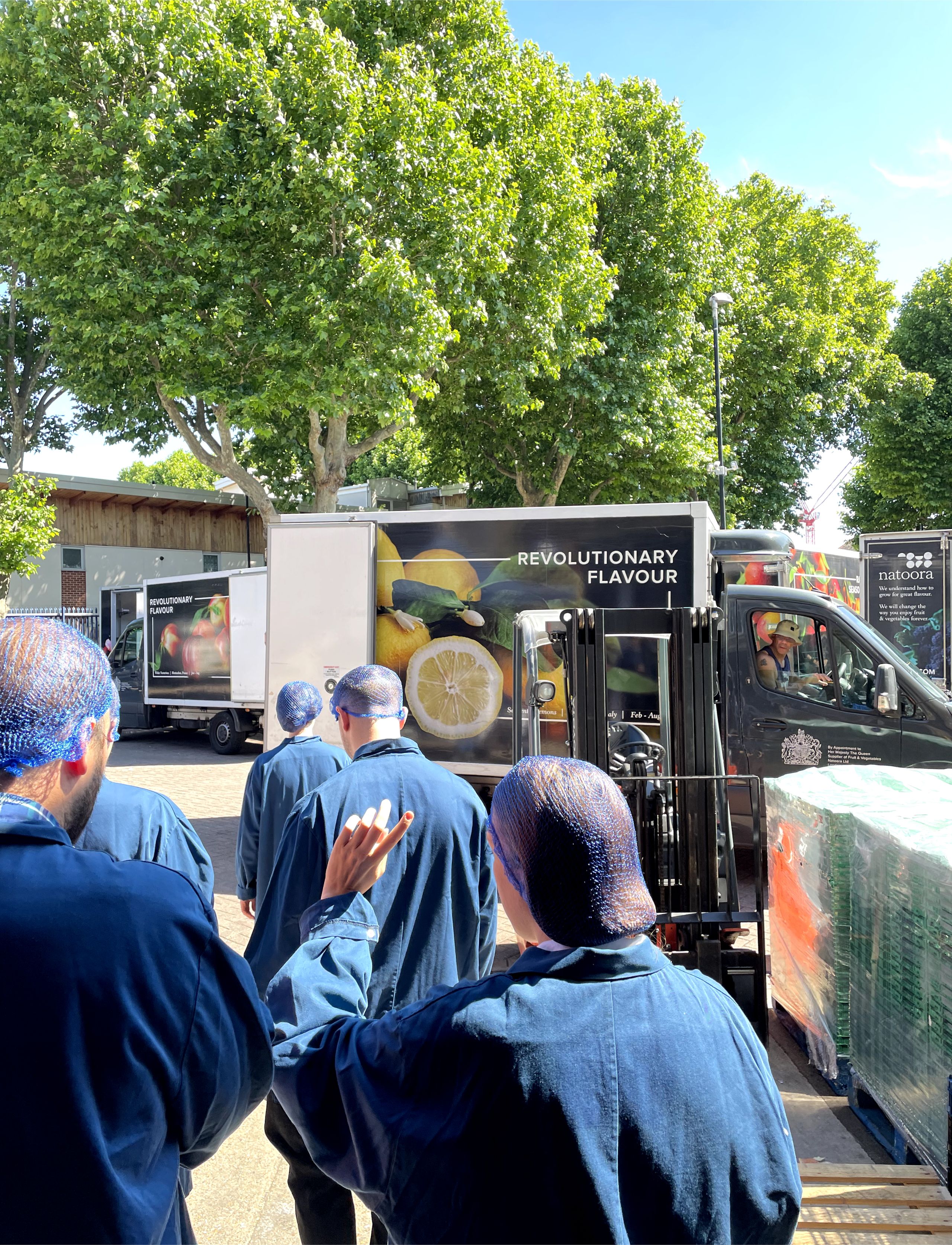 Natoora | Justified Studio