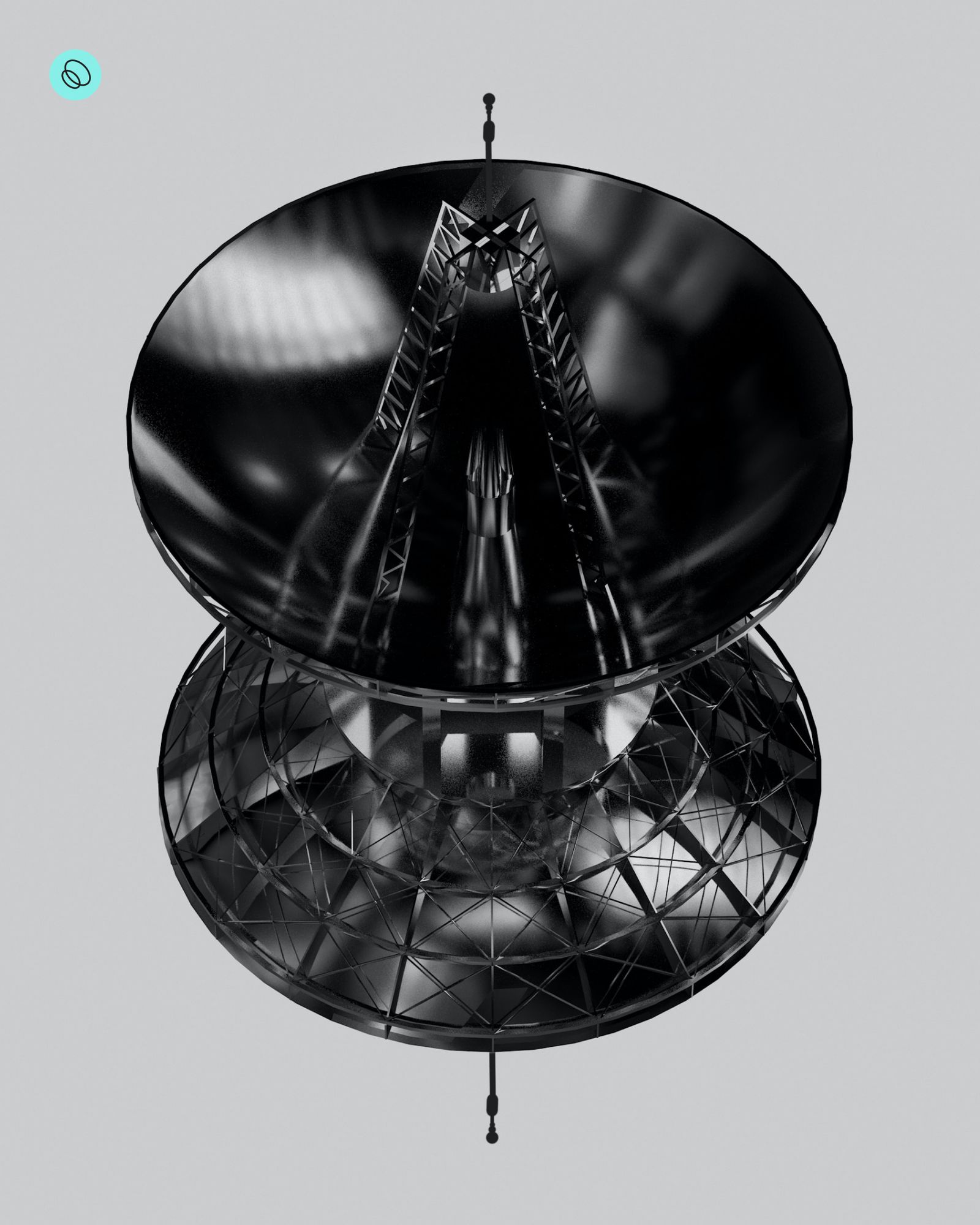 Treefera | Justified Studio