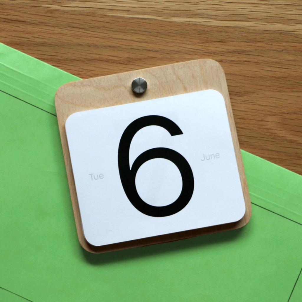 Holi | Justified Studio