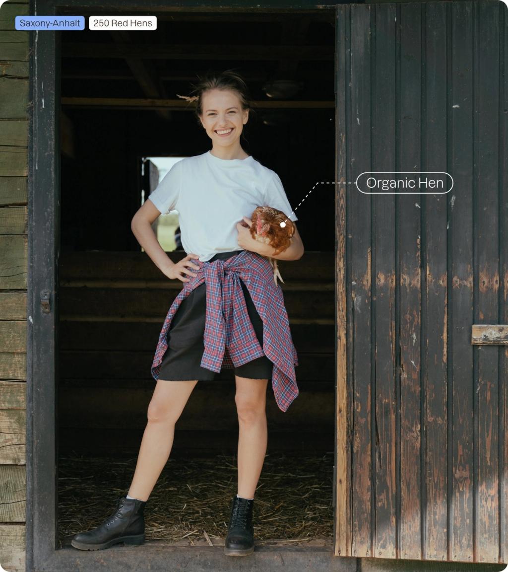 Klim | Justified Studio