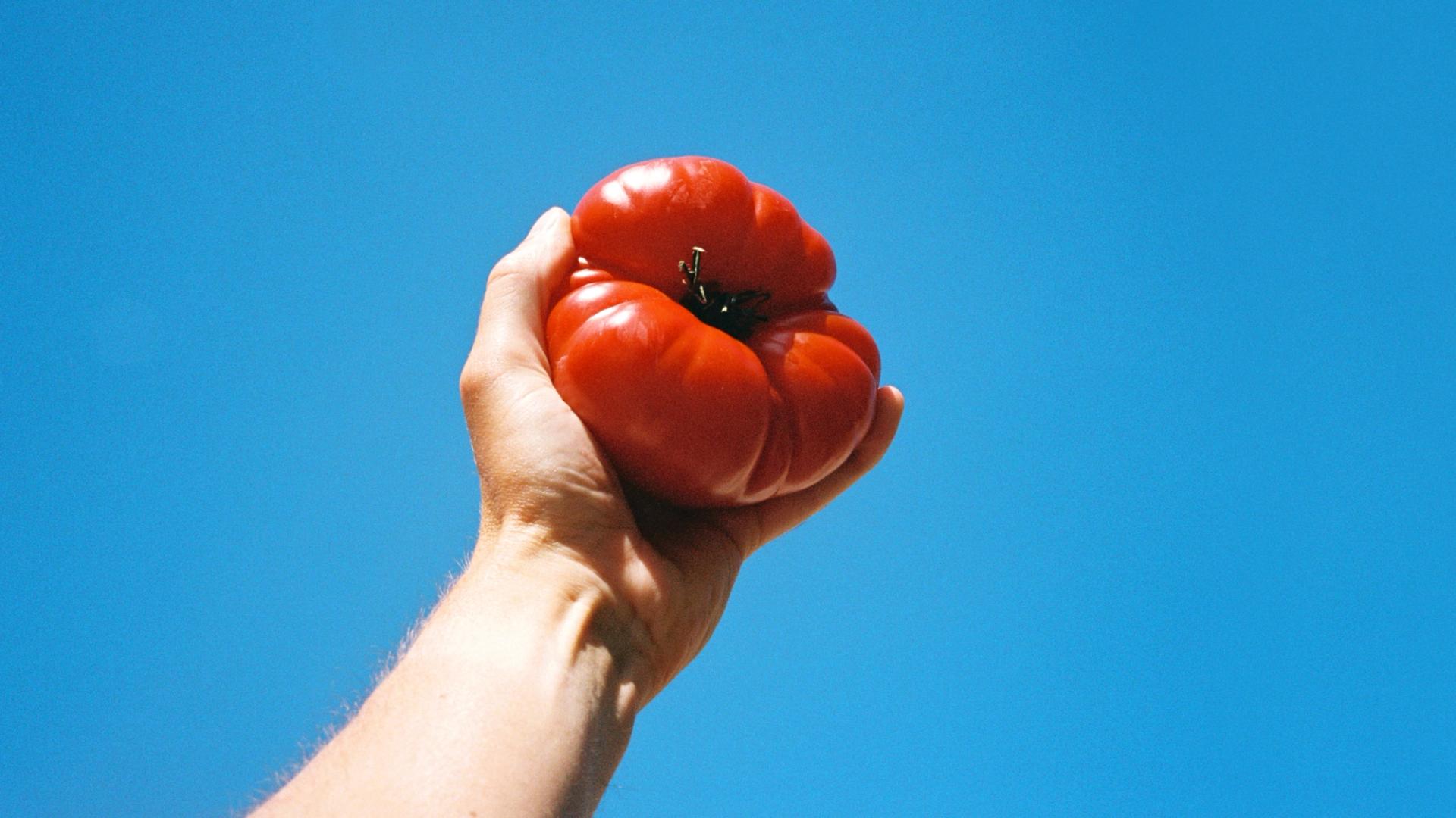 Creative agency | Justified Studio