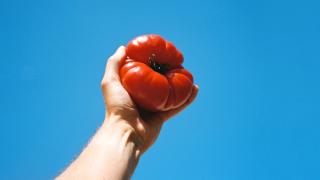 Holi | Justified Studio