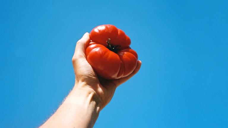 Loop | Justified Studio