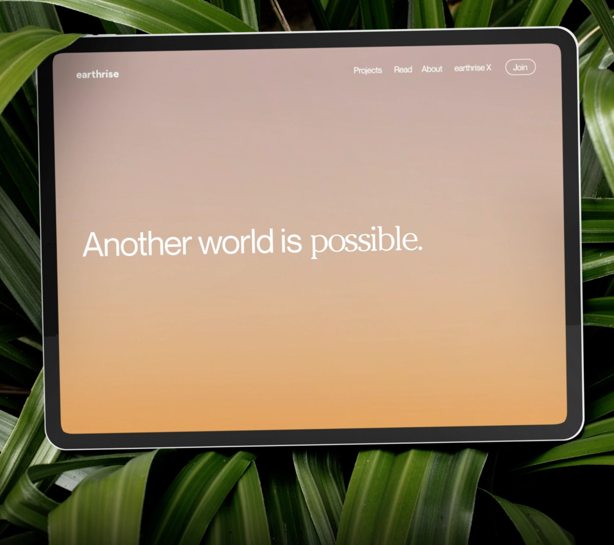 Creative agency | Justified Studio