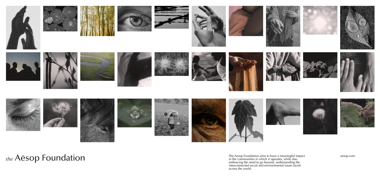 The Aesop Foundation | Justified Studio