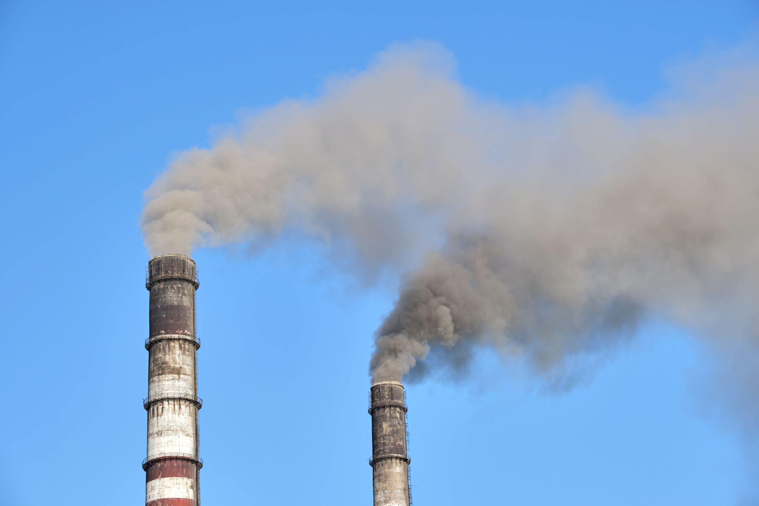 Coal-de-sac: Advanced Coal in Japan