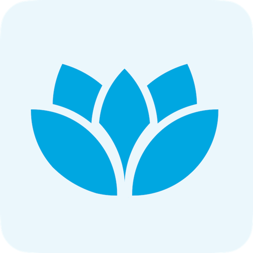 Pure Desi Ghee (1.6kg) | Brar's