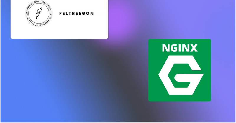 Install and Setup NGINX on Ubuntu 18.04 server - feltreegon