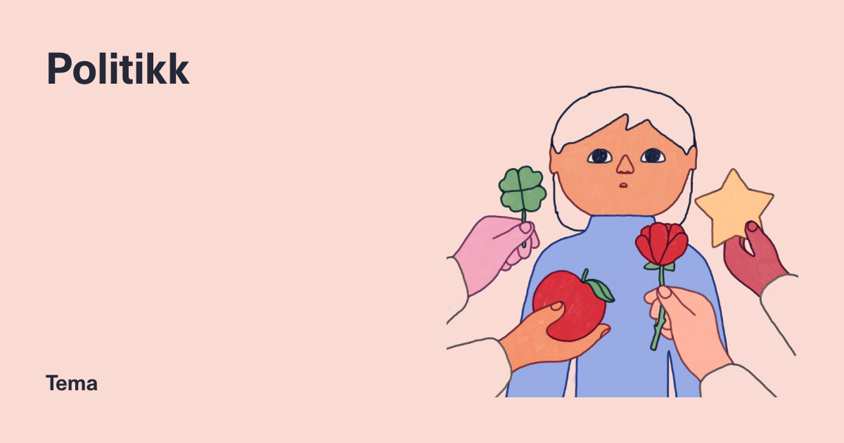 Introduksjon til politikk | Tenk