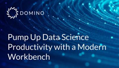 Domino AI Workbench | Collaborative Development Environment