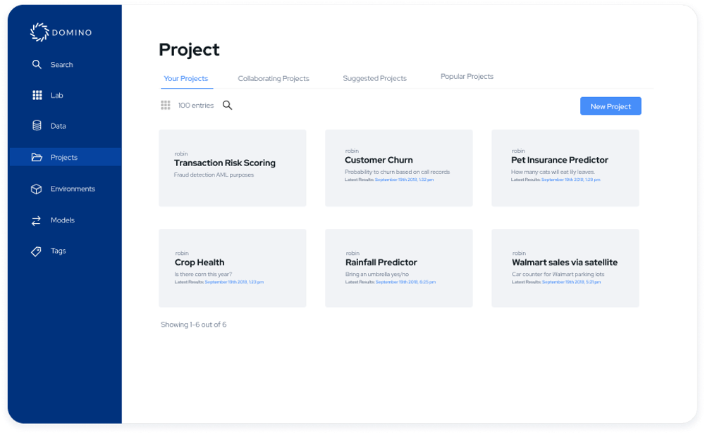 Model Risk Management | Domino Data Lab